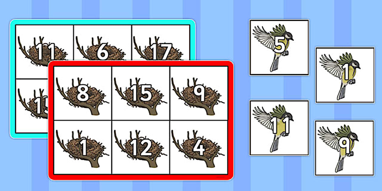 Bird Themed Number Bonds to 20 Bingo (teacher made) - Twinkl