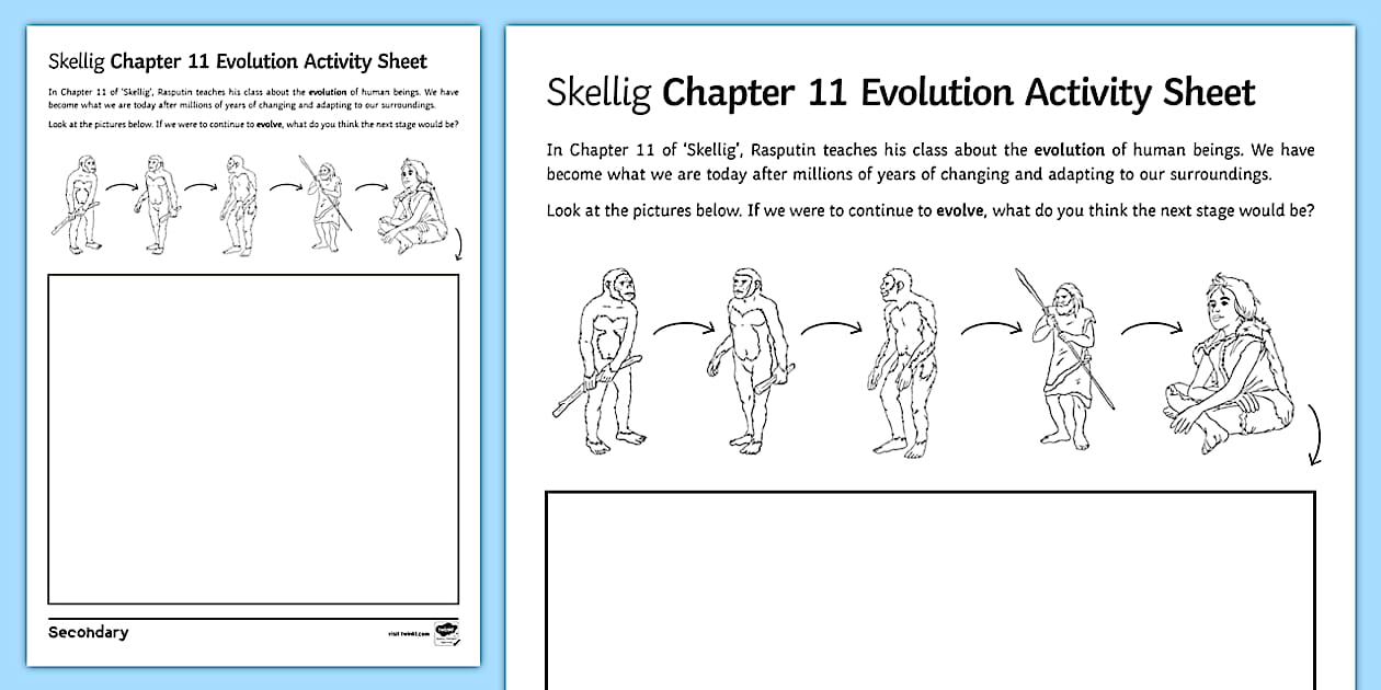 Skellig Chapter 11 Evolution Worksheet (teacher made)