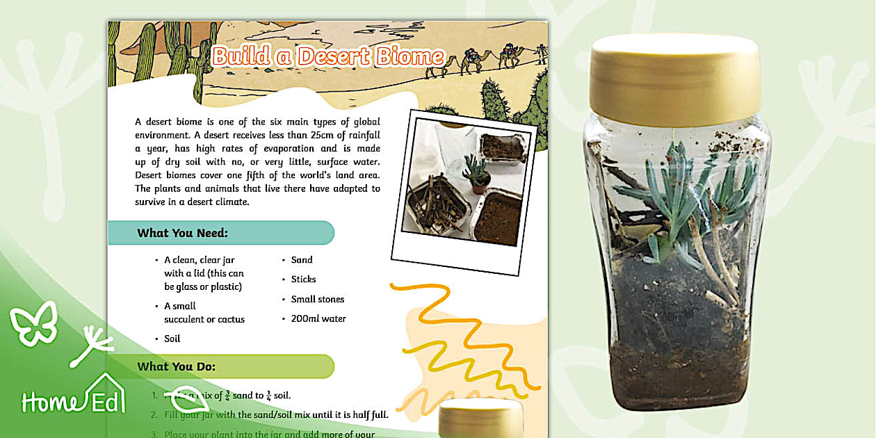 Build a Desert Biome