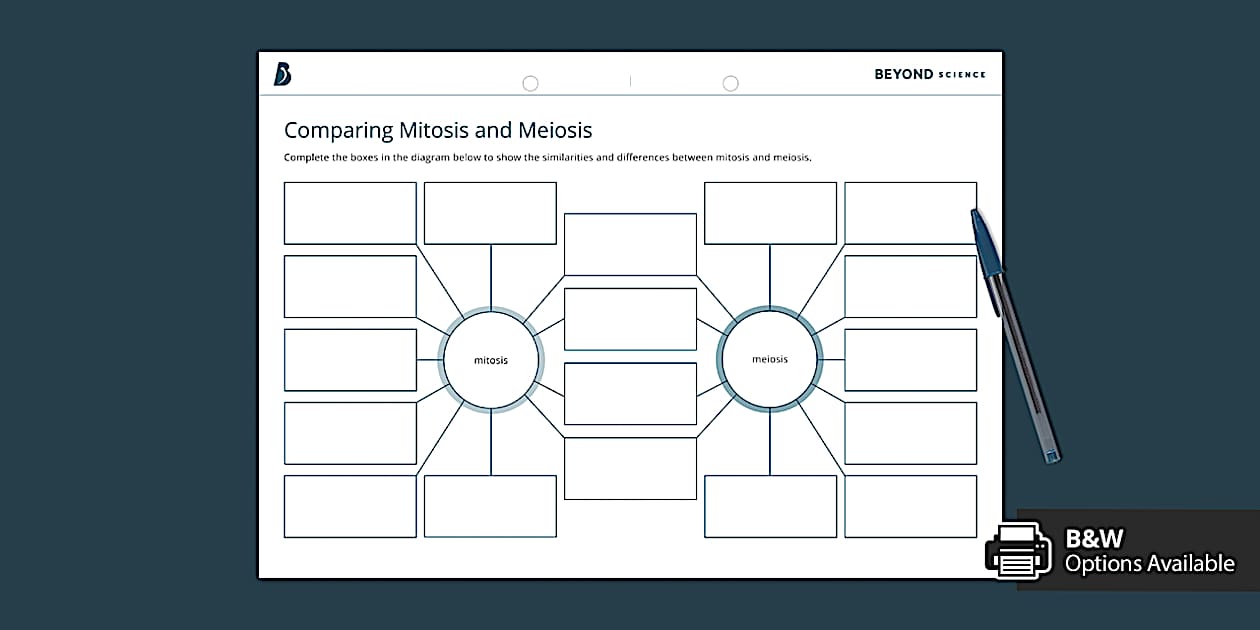 Mitosis vs Meiosis Mind Map | GCSE Biology | Beyond - Twinkl