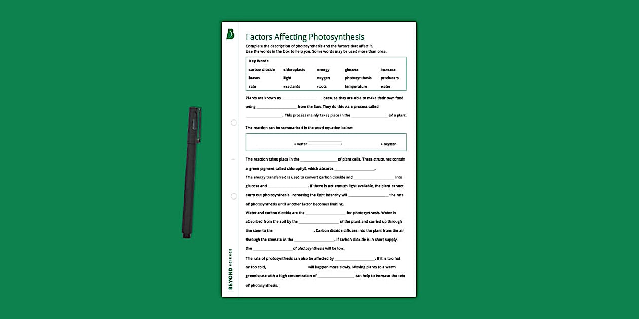Factors Affecting Photosynthesis Gap Fill Worksheet - Twinkl