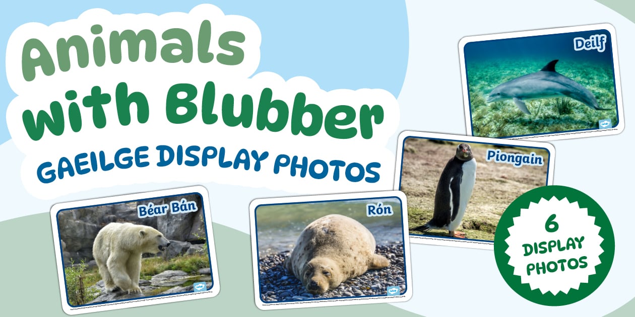 Ainmhithe na Farraige