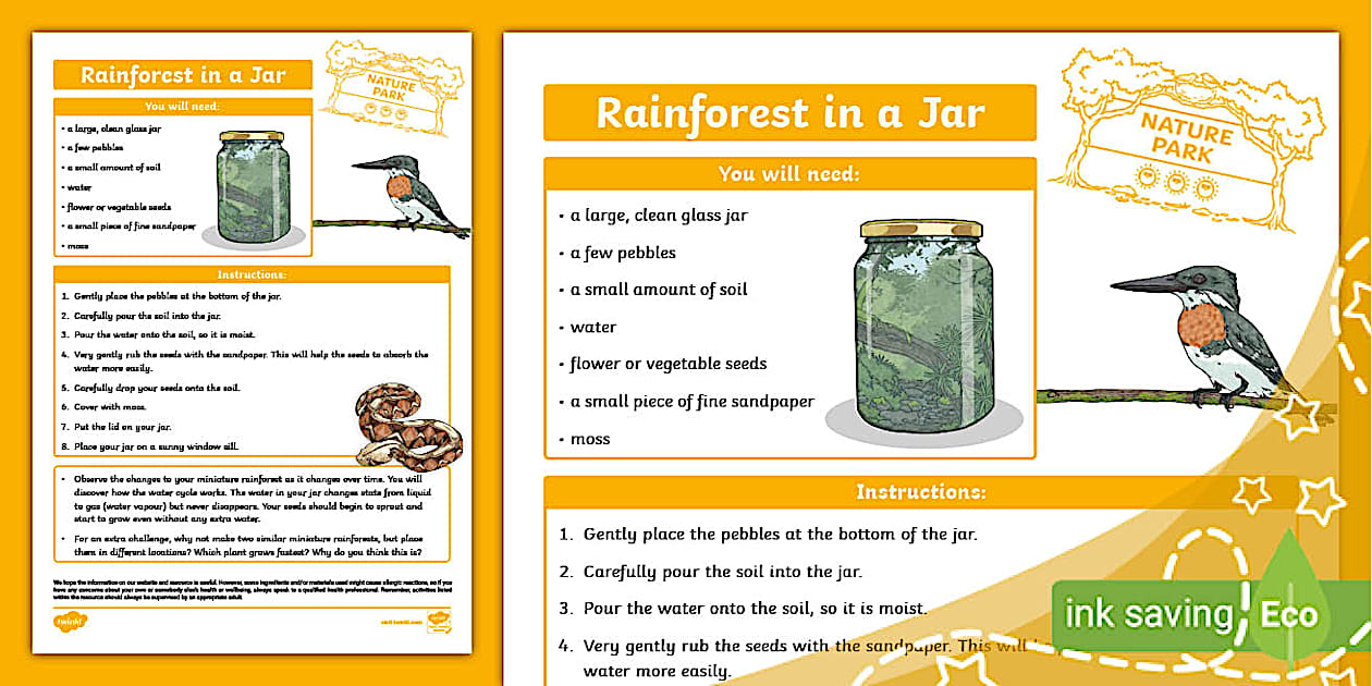 Rainforest in a Jar Craft Instructions - Twinkl