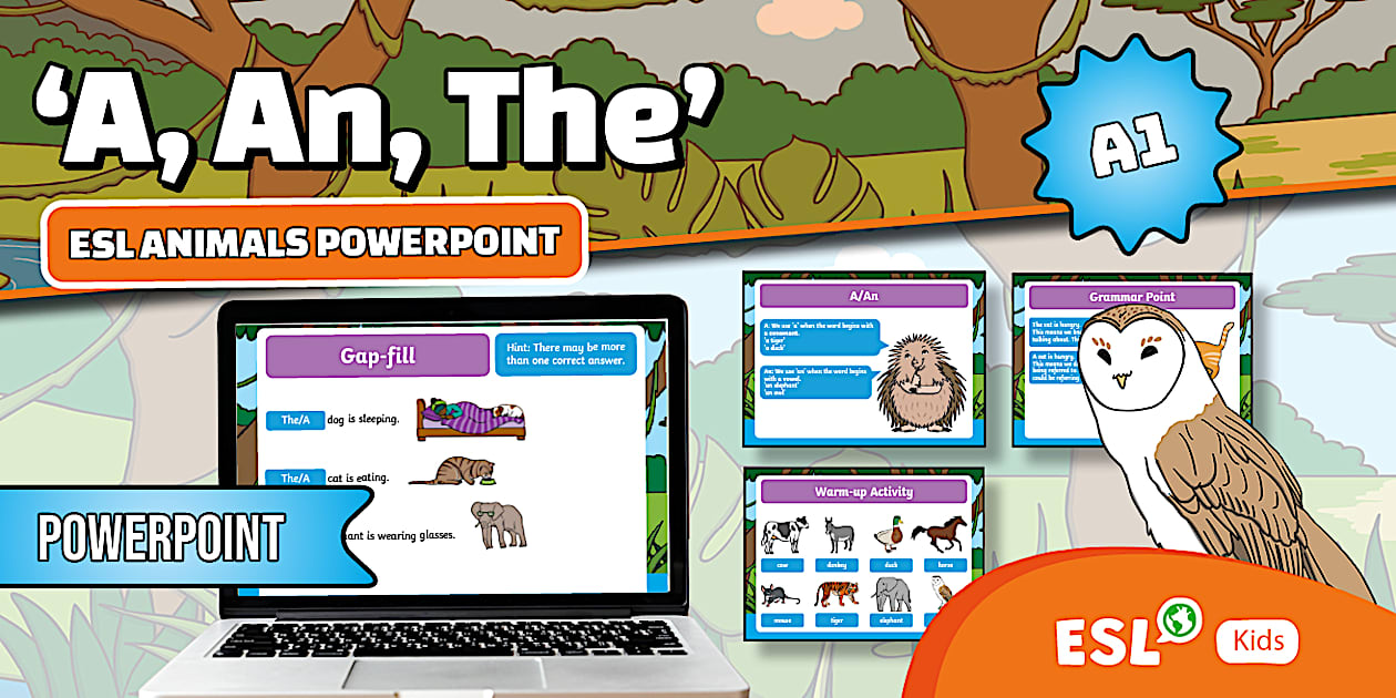 A, An, The ESL Animals Lesson {Kids}
