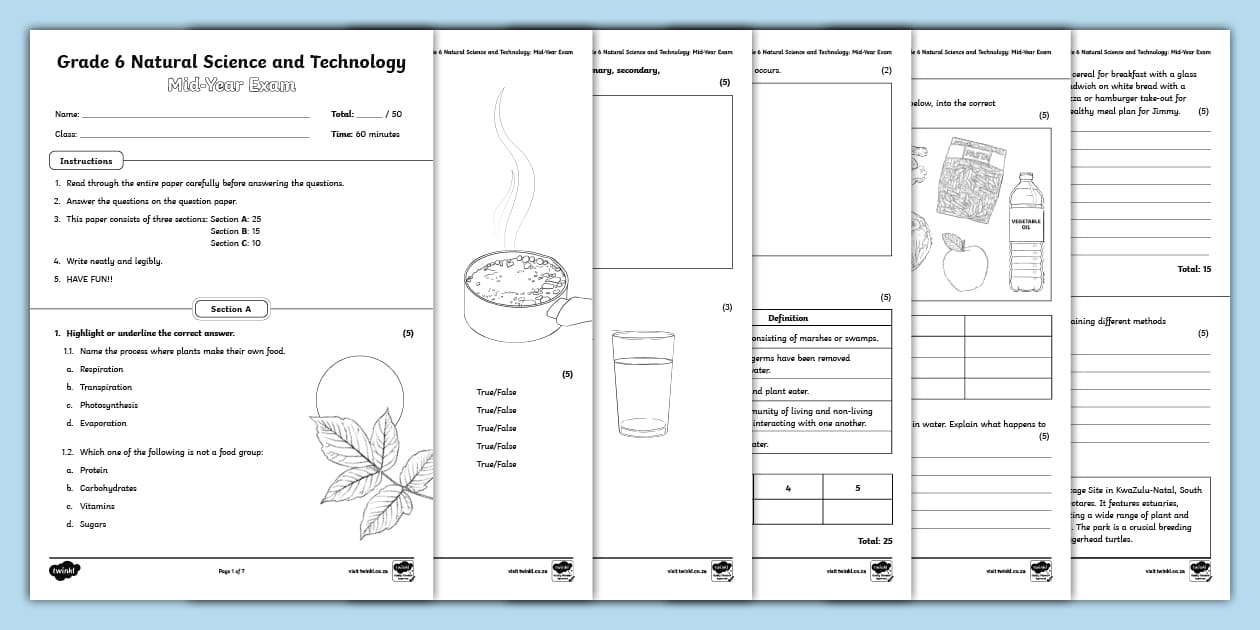 Grade 6 Natural Science and Technology - Term 2 - Mid-Year Exam (CAPS ...