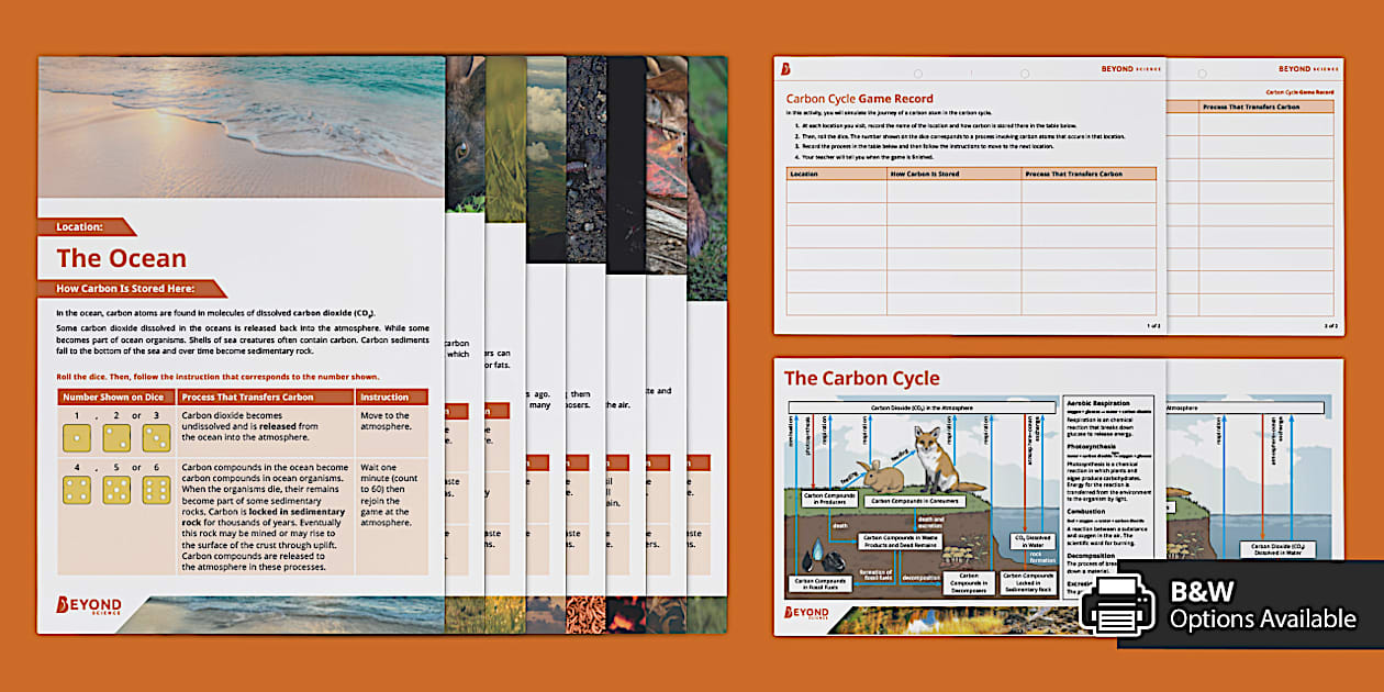 The Carbon Cycle Game (teacher made) - Twinkl