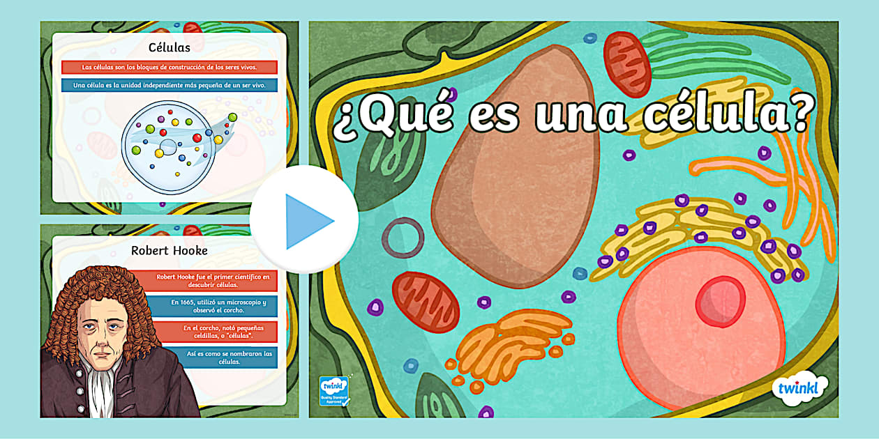 PowerPoint: ¿Qué es una célula? (teacher made) - Twinkl