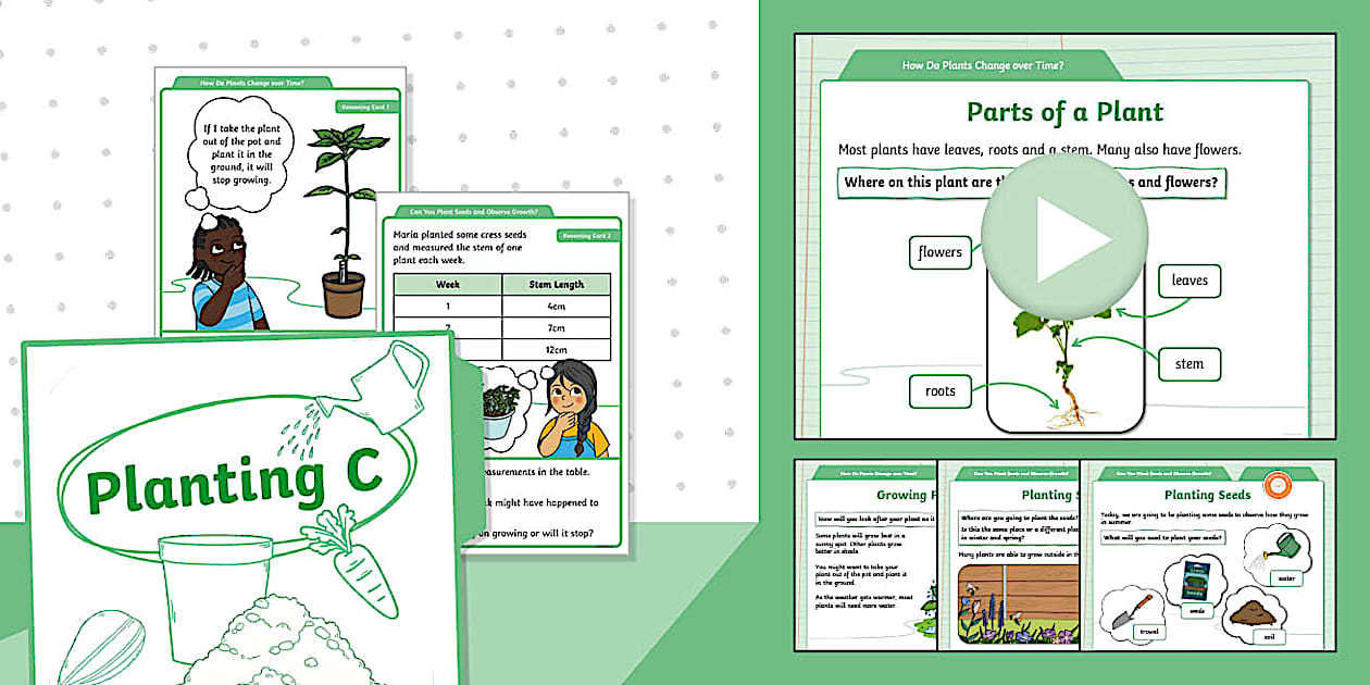 Step into Science: Year 1: Summer: Block 2: Planting C: Steps 1 and 2