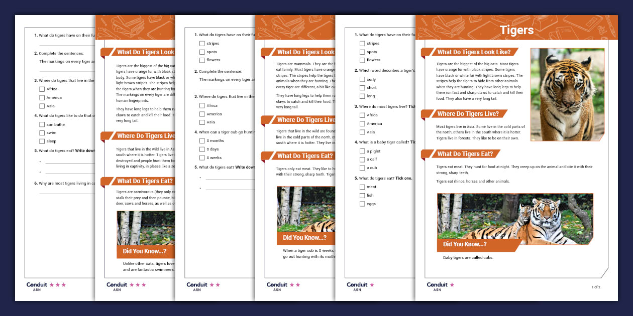 Reinforcing Reading: Tigers Differentiated Comprehension