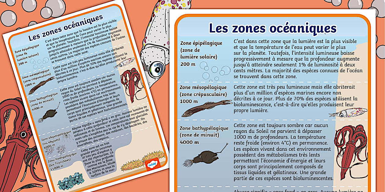 Affiche sur les zones océaniques (Teacher-Made) - Twinkl