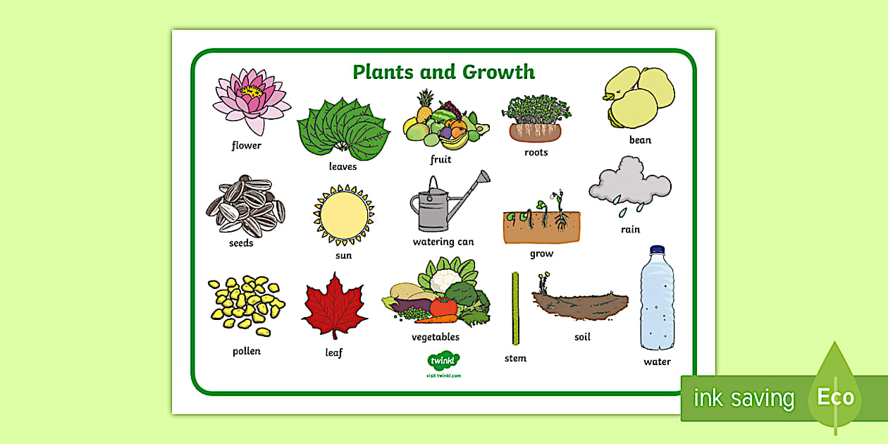 Cursive Plants and Growth Topic Word Mat - Twinkl