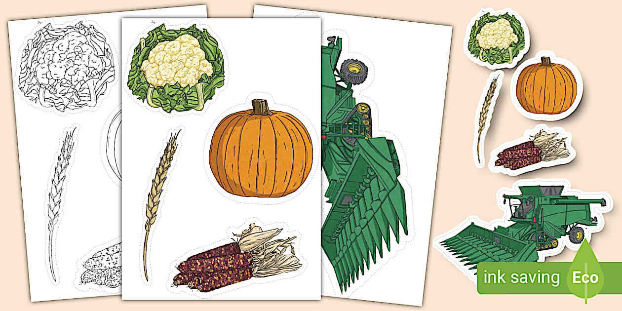 Harvest Cut-Outs (teacher made) - Twinkl