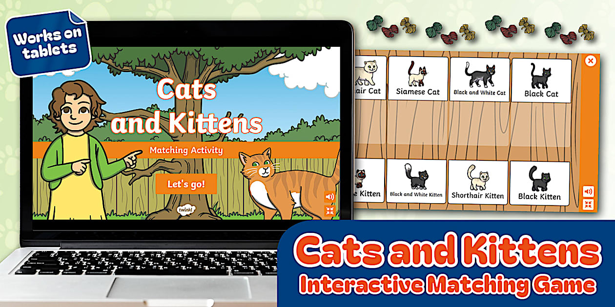 Foundation Phase Life Skills - Cats and Kittens - Interactive Matching Game