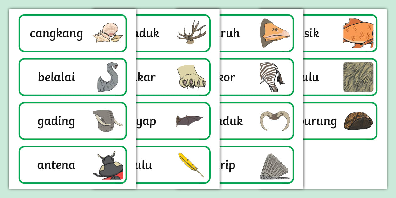 Animal Body Parts Word Cards - Indonesian