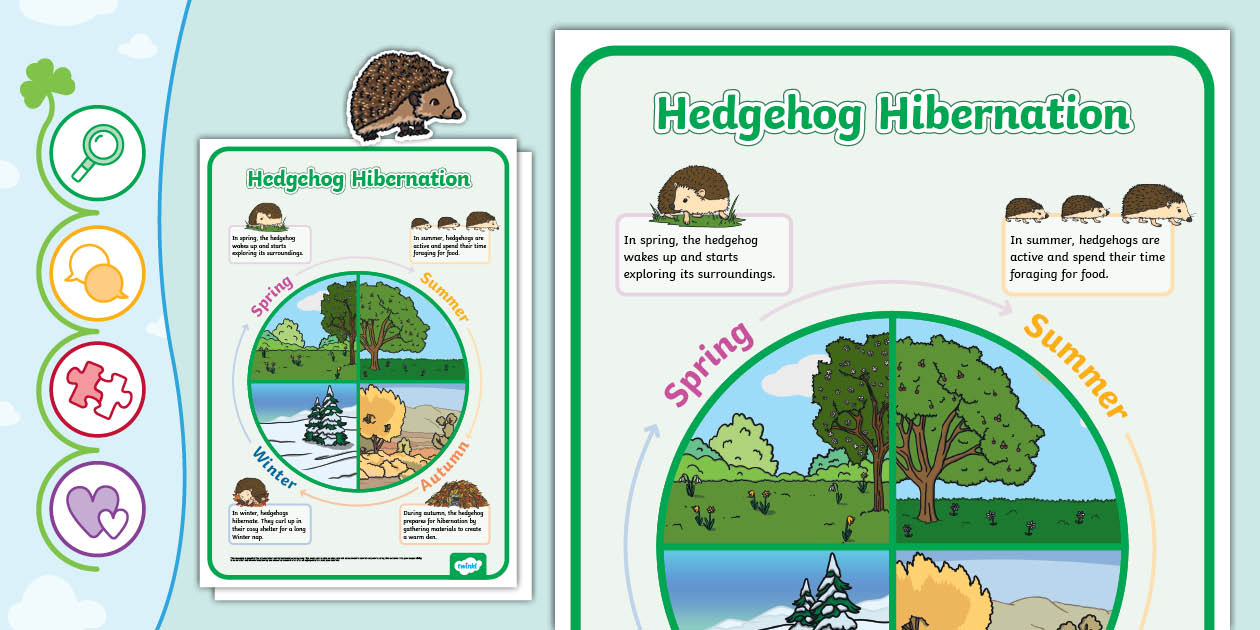Hedgehog Hibernation Chart (teacher made) - Twinkl