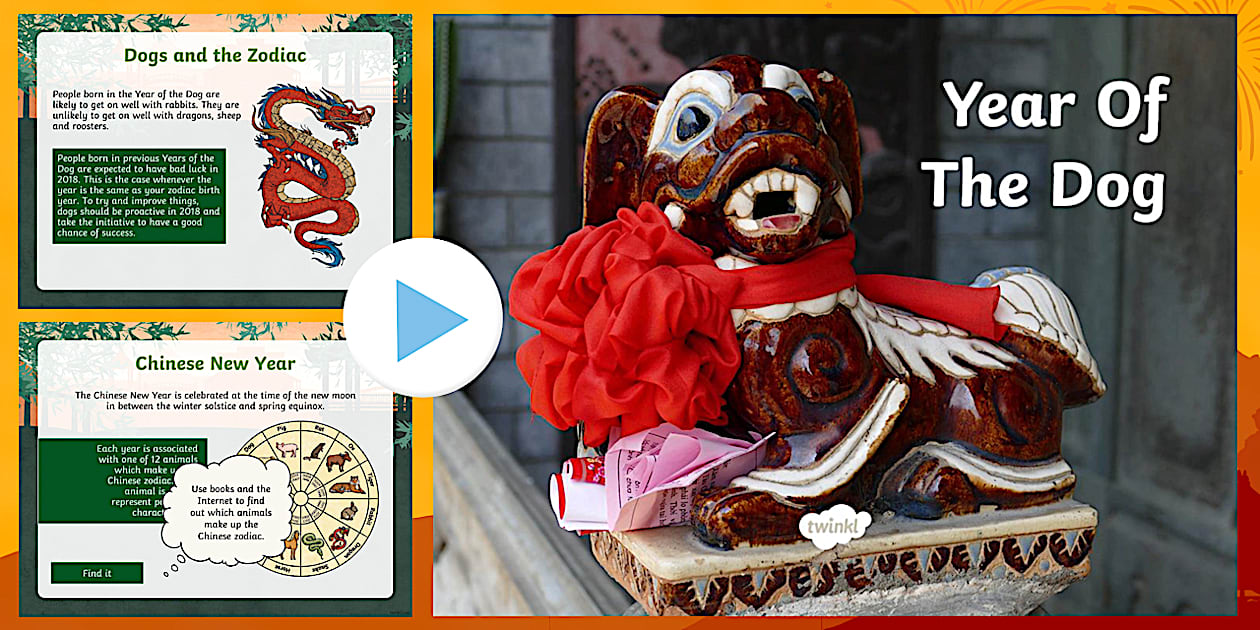 KS2 Year of the Dog Information PowerPoint (teacher made)