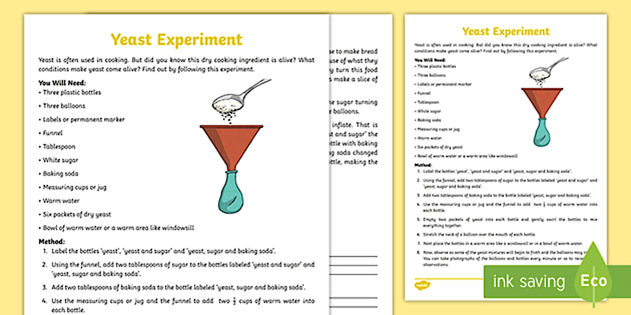 Yeast Experiment for Preschool | Science Worksheet | Twinkl
