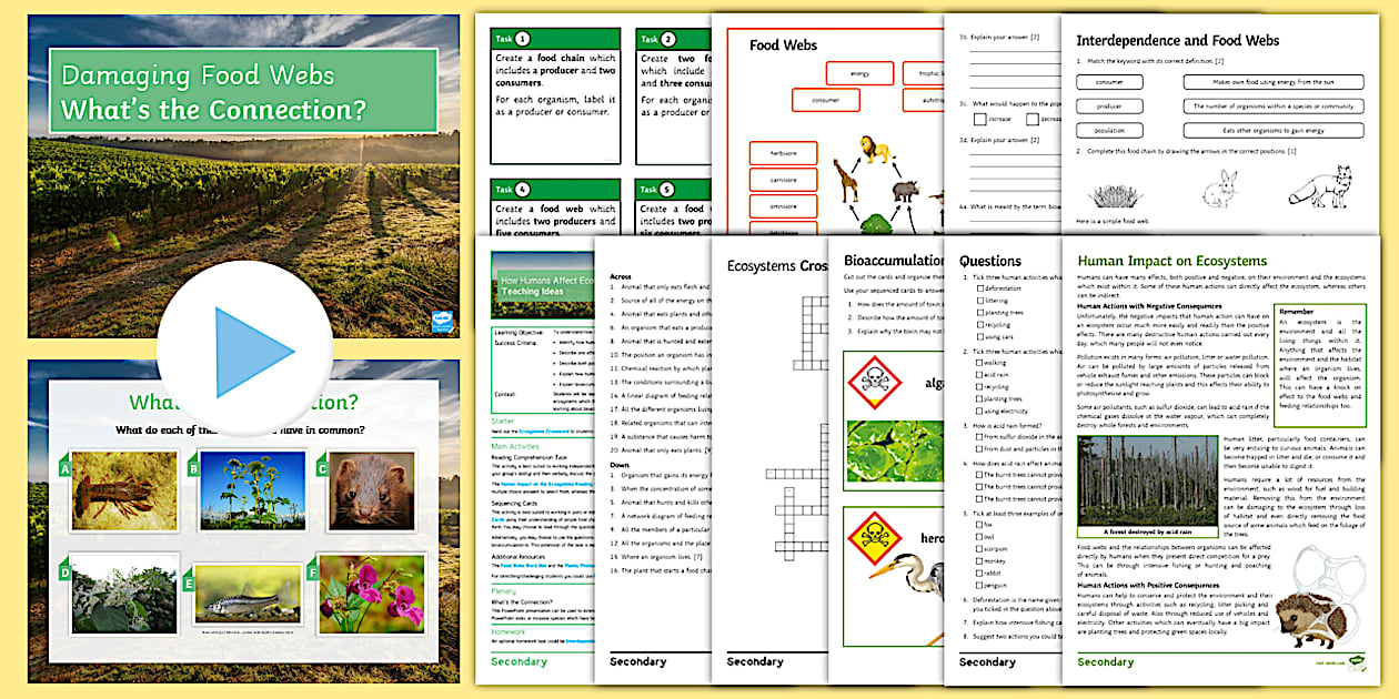 Ecosystems Teaching Pack: How Humans Affect Ecosystems