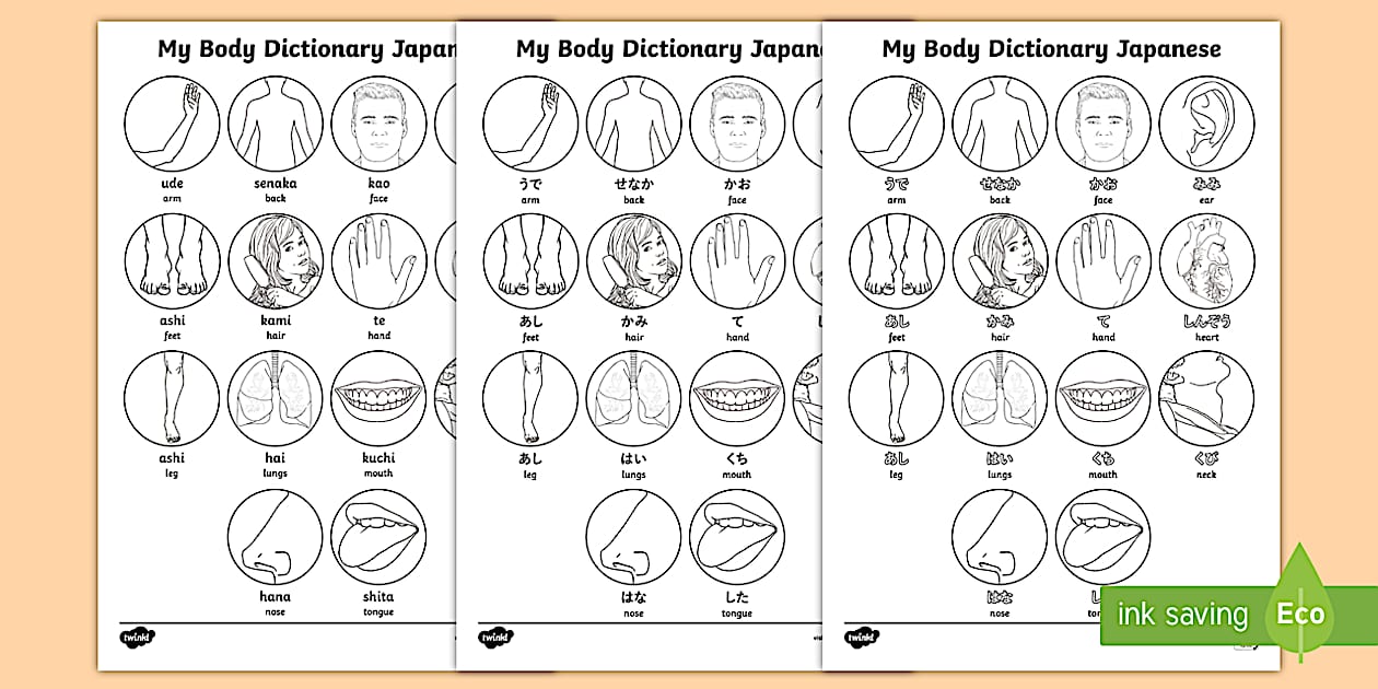 TAS My Body Dictionary Colouring Page (teacher made)