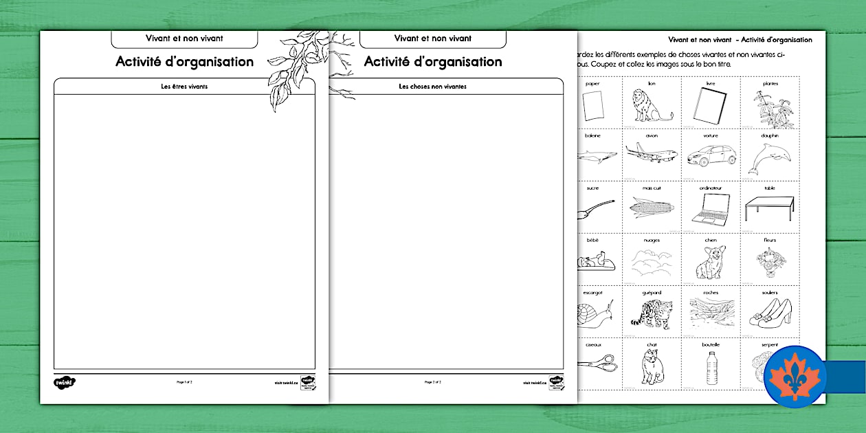 'Activité maternelle 4 ans à imprimer' | Vivant ou non