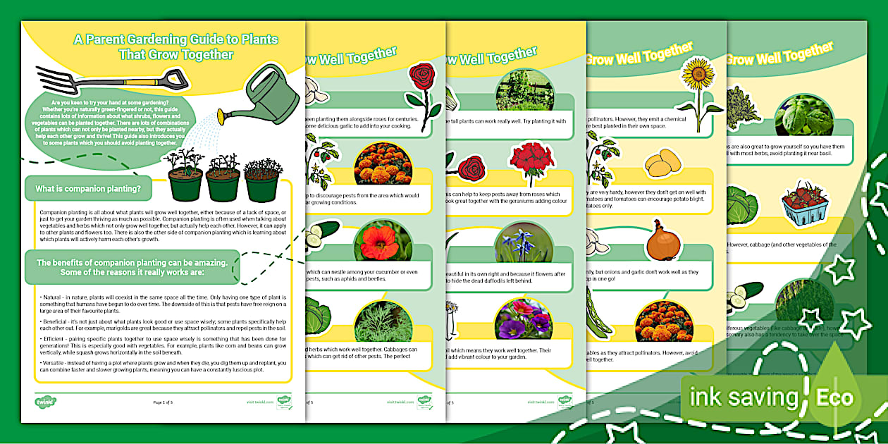 A Parent Gardening Guide to Plants That Grow Together