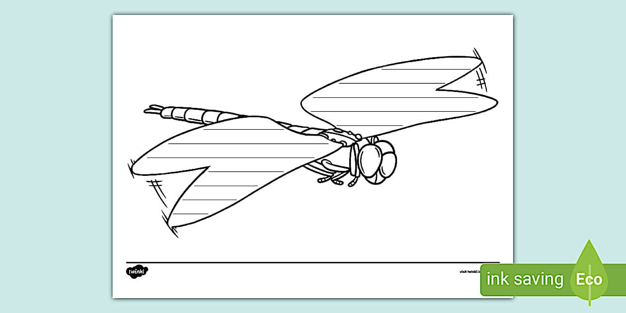 Dragonfly Writing Template (Teacher-Made) - Twinkl
