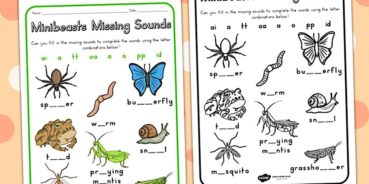 Black and White Minibeasts Missing Sounds Worksheet - Australia