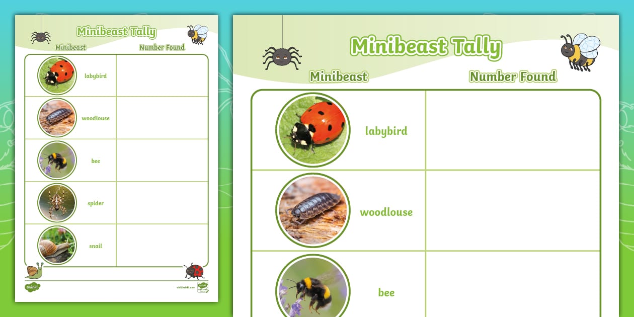 Minibeast Hunt Tally Activity Sheet | Twinkl - Twinkl