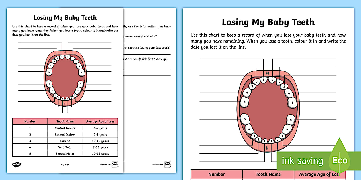Losing My Baby Teeth Worksheet / Worksheet - Twinkl