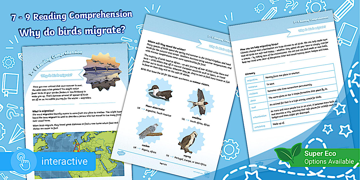 Bird Migration Worksheet | Reading Comprehension - Twinkl