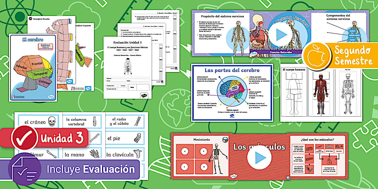 Pack Ciencias Naturales: 4º Básico - Unidad 3