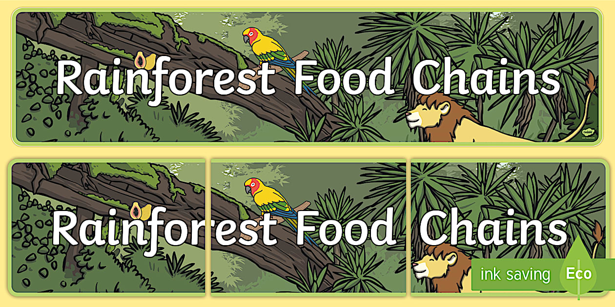 👉 Rainforest Food Chains: Display Banner - Twinkl