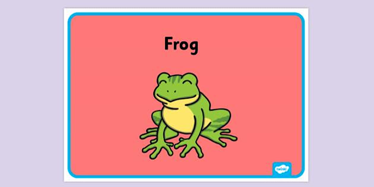 Frog Poster for Kids | Display Poster | Primary Resources