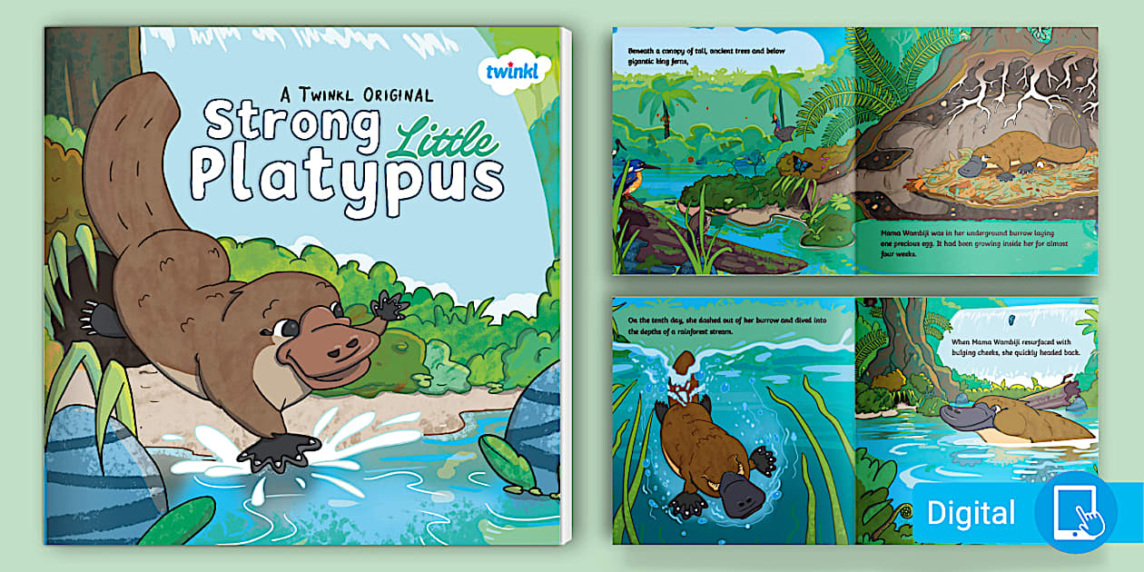 Strong Little Platypus eBook (teacher made) - Twinkl