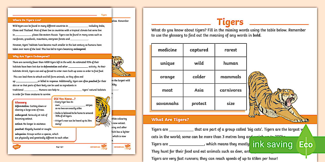 Tigers Cloze Activity,tigers (Teacher-Made) - Twinkl
