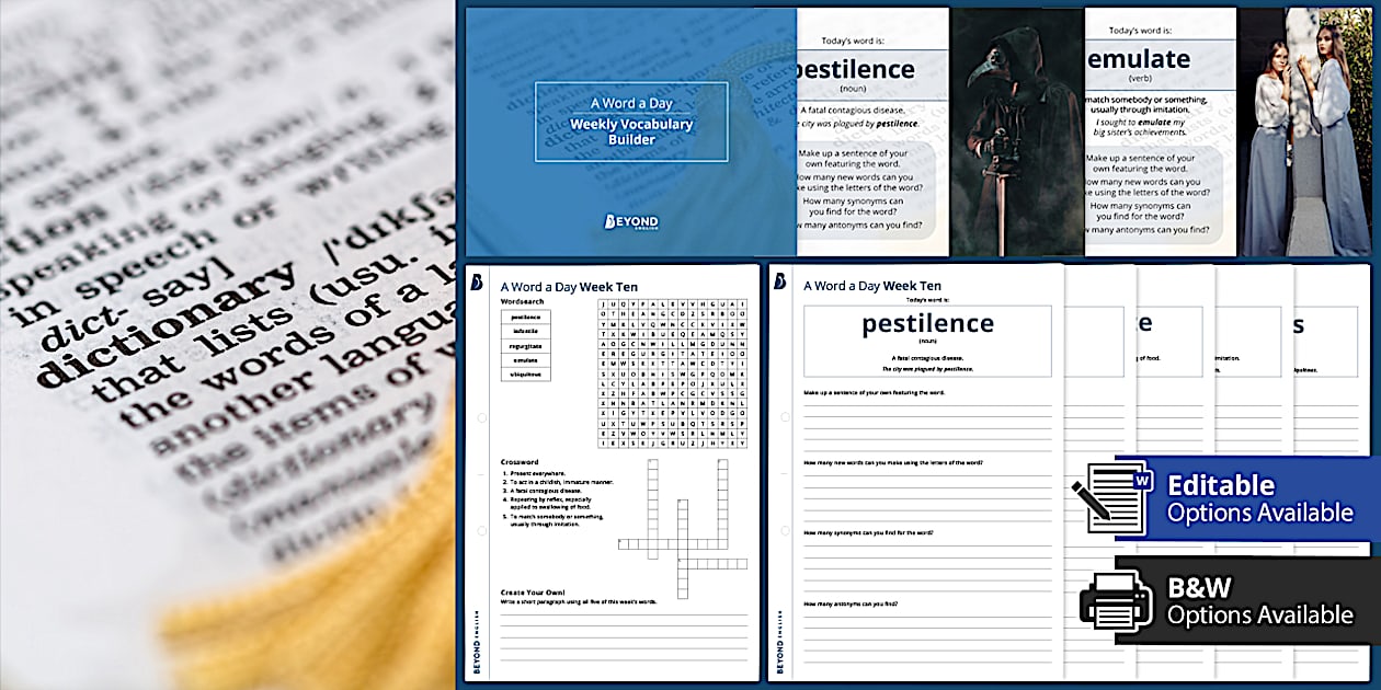 Word of The Day Vocabulary Building Exercises (10) | Beyond