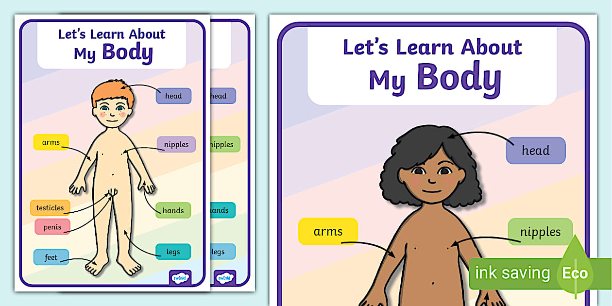 My Body Posters for Children - Printable RSHP Resource