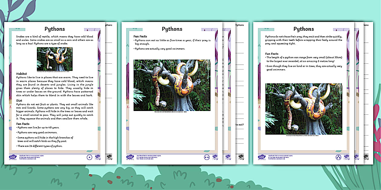 Year 2 Pythons Reading Comprehension Activity (teacher made)