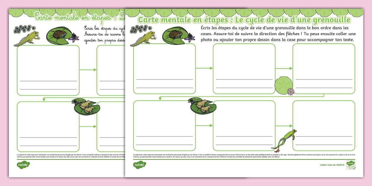 * NEW * Carte mentale en étapes : Le cycle de vie d'une grenouille