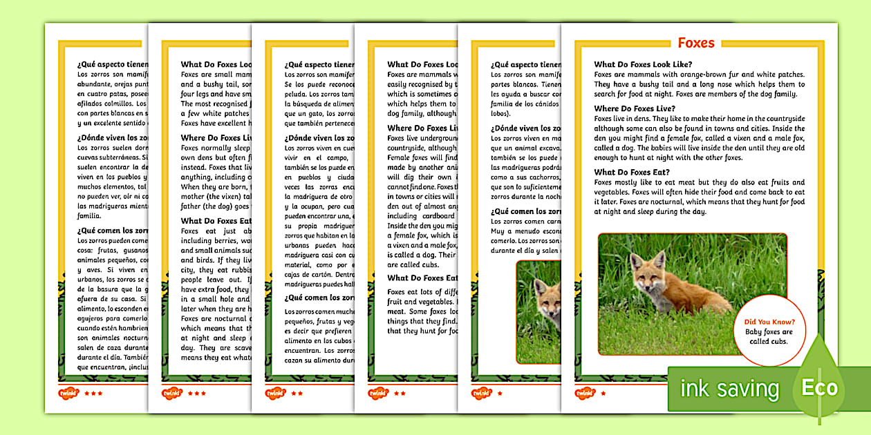 Foxes Differentiated Fact File English/Spanish - Twinkl
