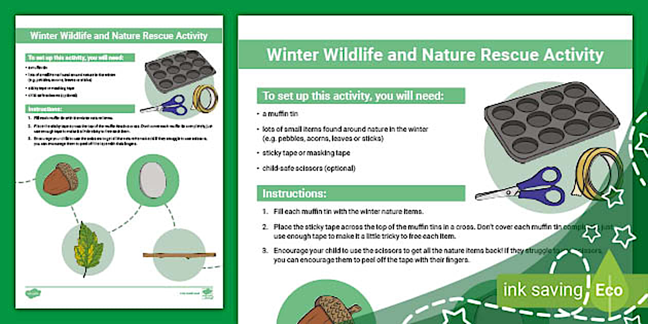 Winter Wildlife and Nature Rescue Activity (teacher made)