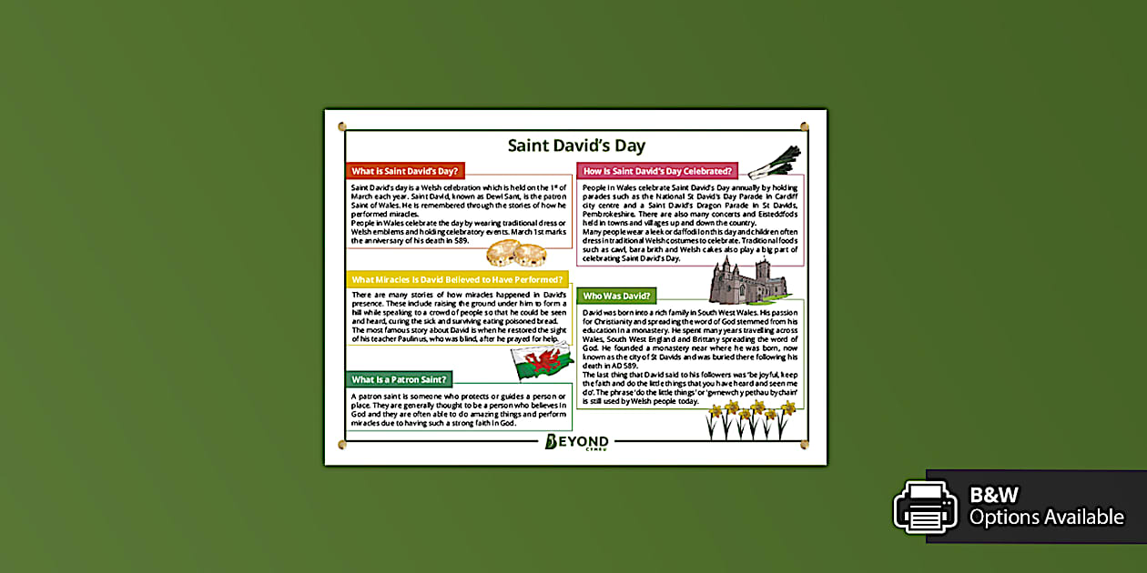 St David's Day Infographic (teacher made) - Twinkl