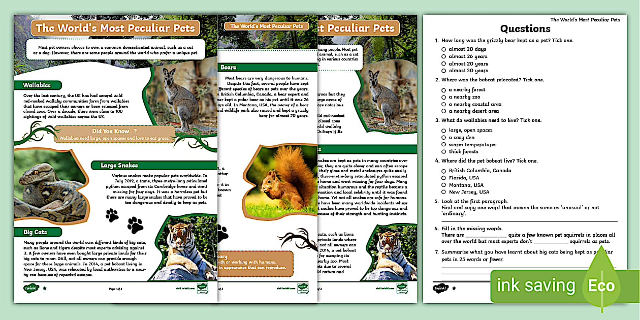 LKS2 The World's Most Peculiar Pets Comprehension Activity