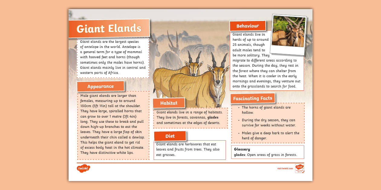 Giant Eland Fact File - Twinkl - KS2 (teacher made) - Twinkl