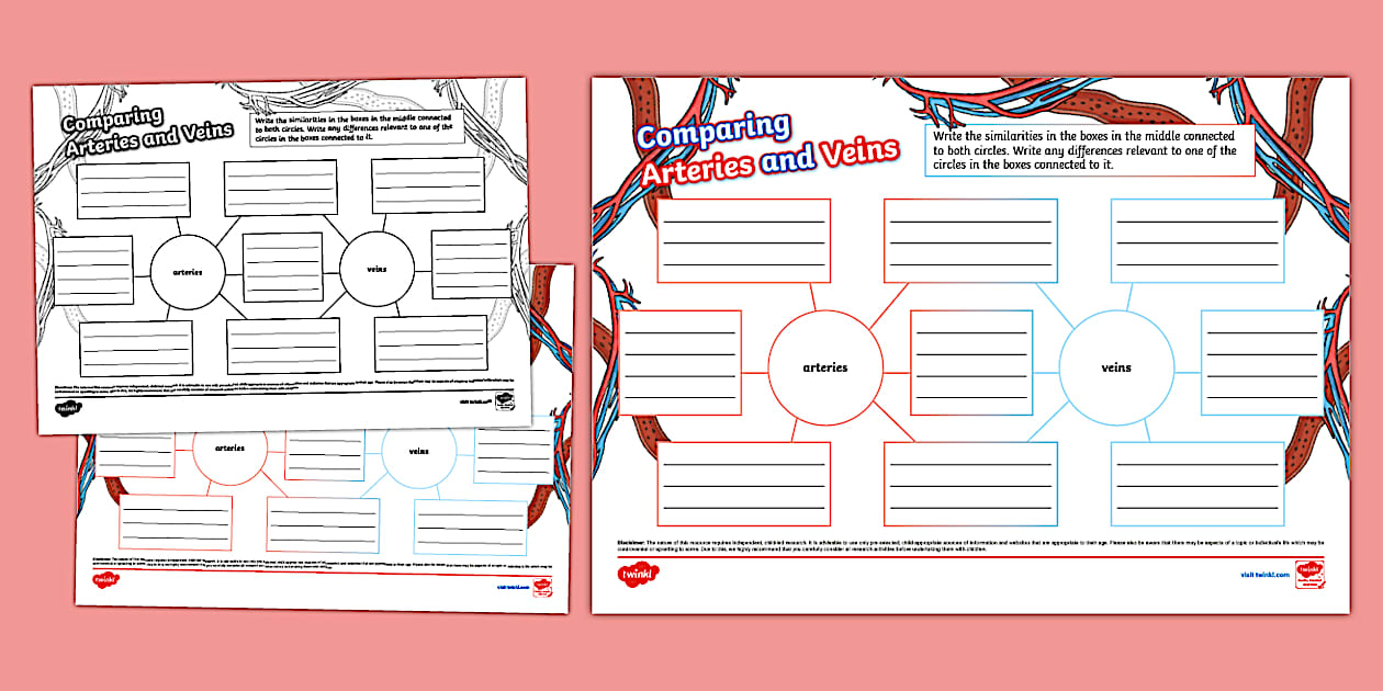 Comparing Arteries and Veins Mind Map (teacher made)