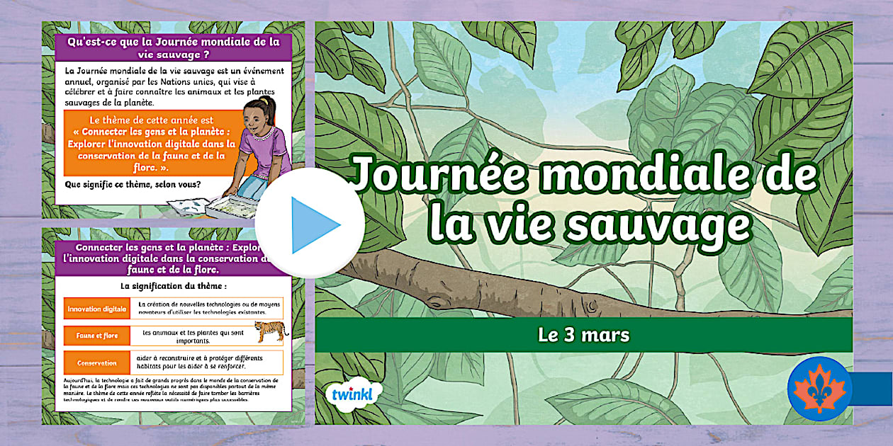 World Wildlife Day PowerPoint French (teacher made) - Twinkl