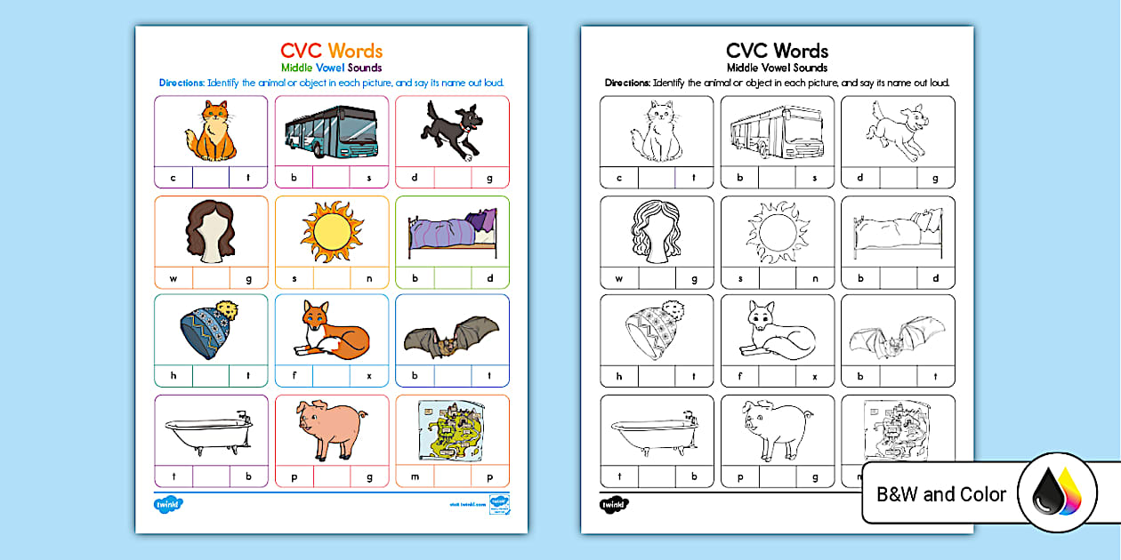 CVC Words Middle Vowel Sounds Worksheet (Teacher-Made)