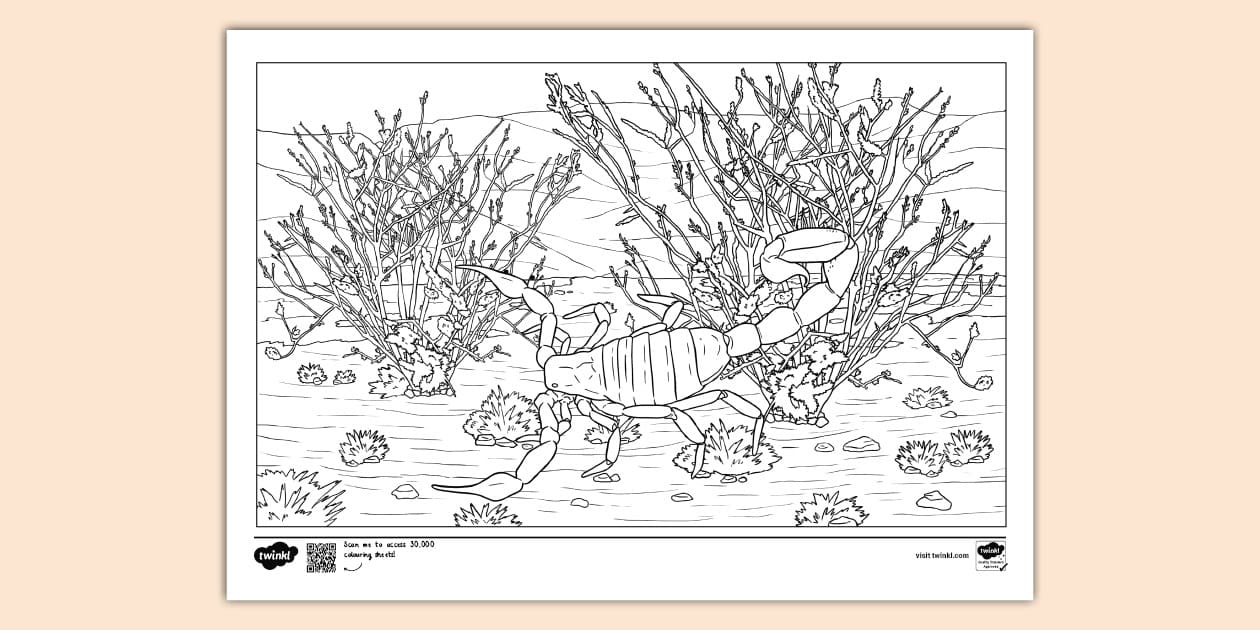 Scorpion Habitat Colouring Sheet