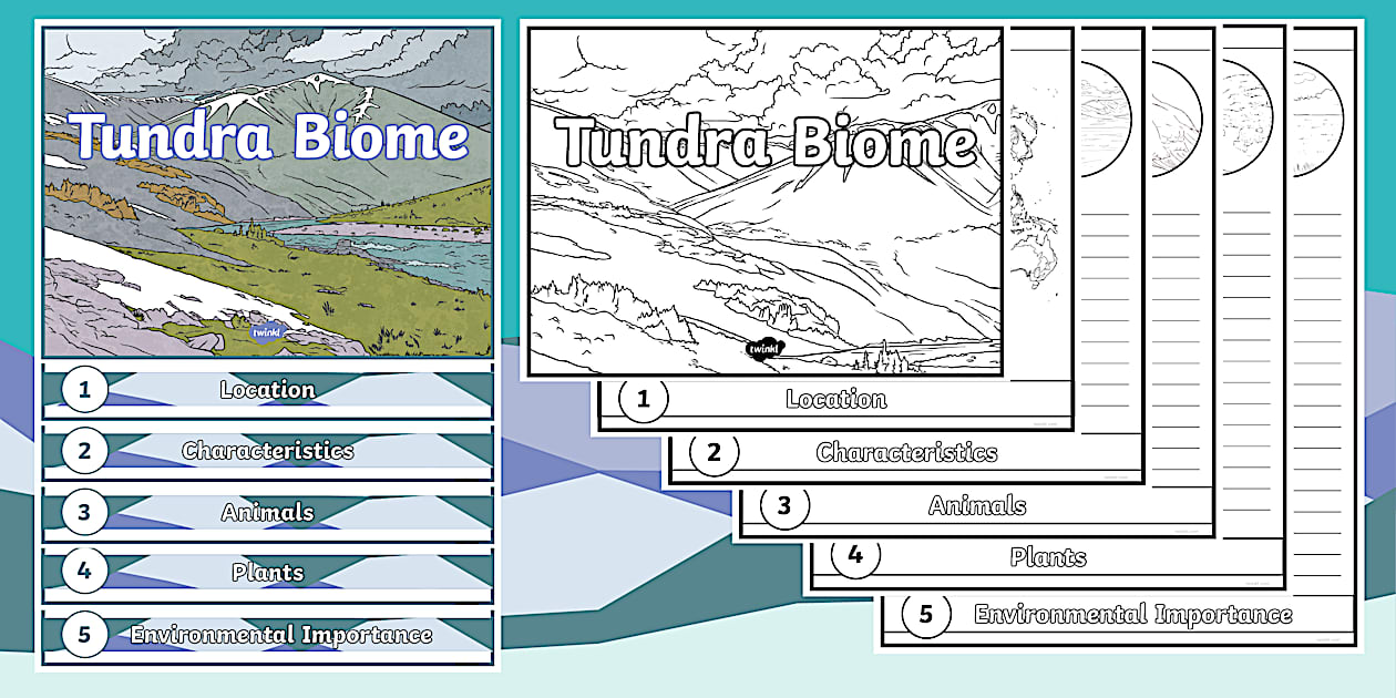 Tundra Biome Flipbook (teacher made) - Twinkl