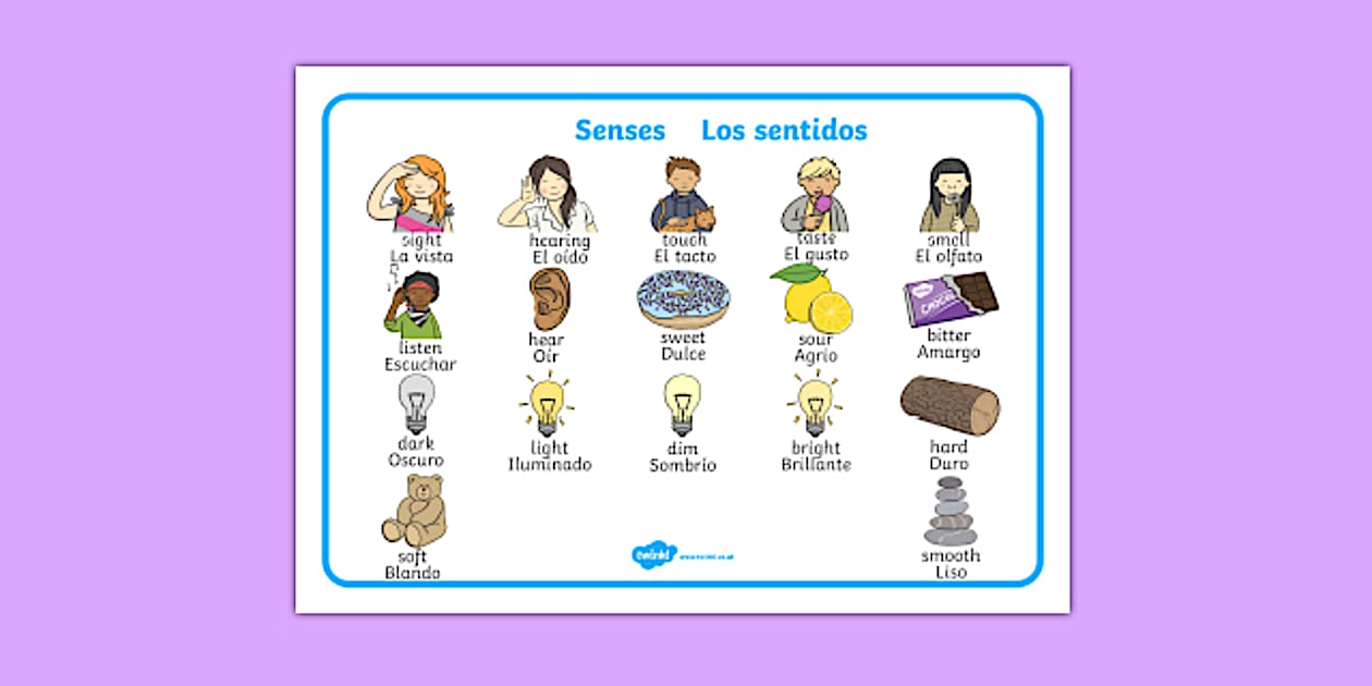 The Senses Word Mat Spanish Translation - Twinkl